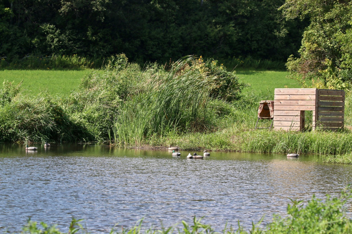 About Us – Next Generation Gun Dog Training